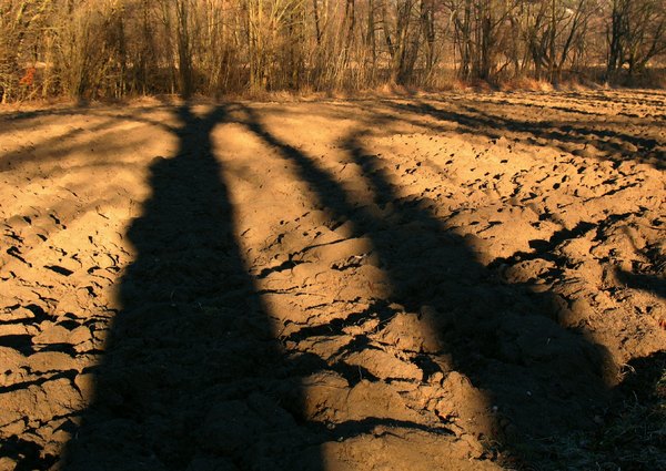 Free Stock Photos Rgbstock Free Stock Images Growing Shadows Wernerb November 14 